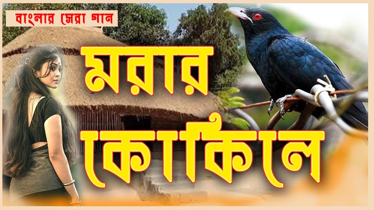 Morar Kokile |মরার কোকিলে । বাংলার সেরা গান - YouTube