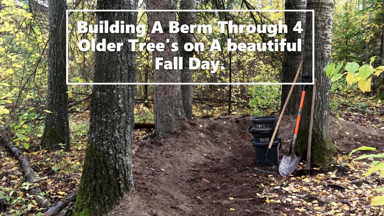 Building a Berm Through 4 older Tree's on A Beautiful Fall Day. - YouTube