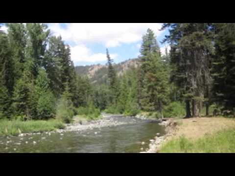 Fly fishing Washington State Small streams and Ponds by Mike Kinney ...