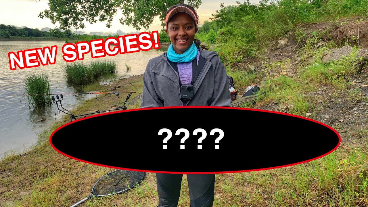 We caught a MONSTER FISH in the DENISON DAM! NEW SPECIES! NEW PB! (Bank ...