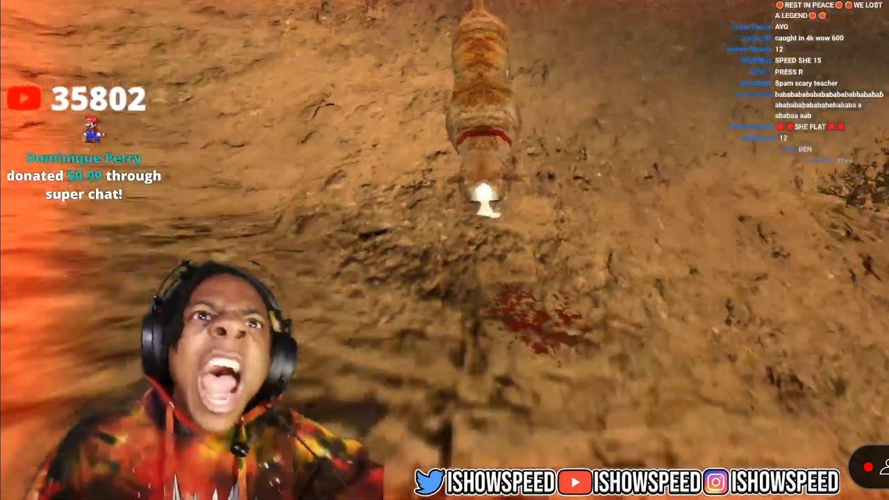 IShowSpeed gets beat up by a dog 🐶 - YouTube