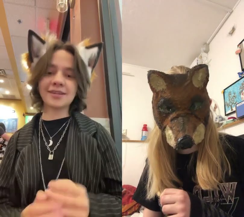 My idol!!!!!!! @PhenicFox #therian #therianthropy #fox #quadrobics # ...