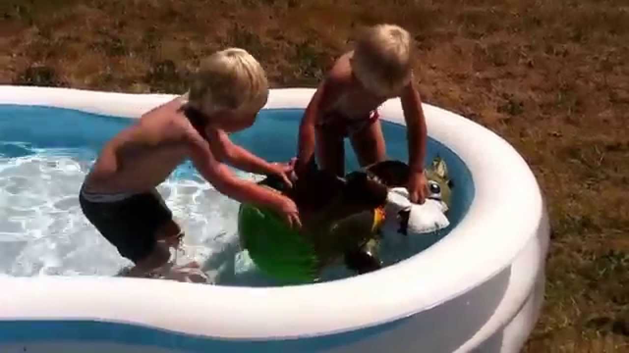 Pool donkey party - YouTube