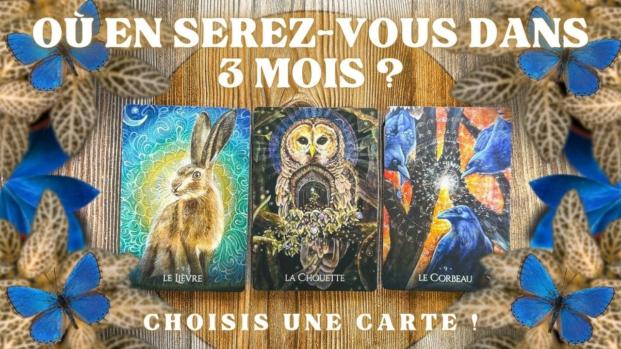 💥VOTRE VIE DANS TROIS MOIS 💫 TROIS CHOIX 🌹 INTEMPOREL 💐 - YouTube