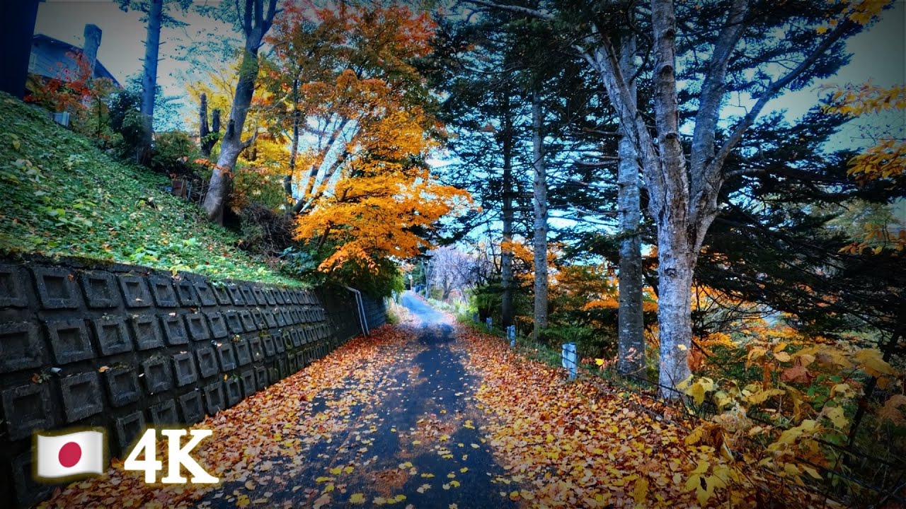 [ 4K ] Tranquil Japanese Village Walk | Hokkaido Countryside in Autumn ...