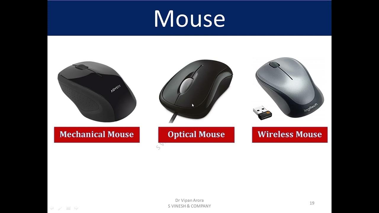 Chapter: Computer Fundamentals | Computer Science 6th - YouTube