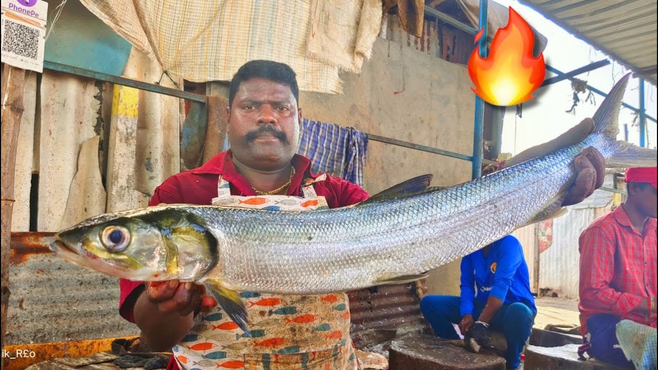 BIG BARRACUDA FISH CUTTING💥| KASIMEDU SELVAM FISH CUTTING | FULL HD ...