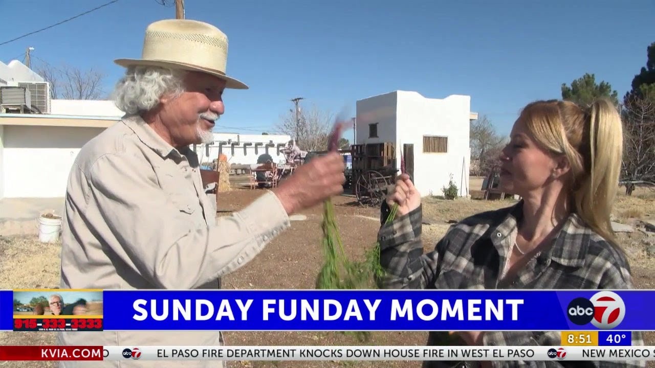 Bodega Loya Sunday Funday brought to you by Sarah Farms with Iris ...