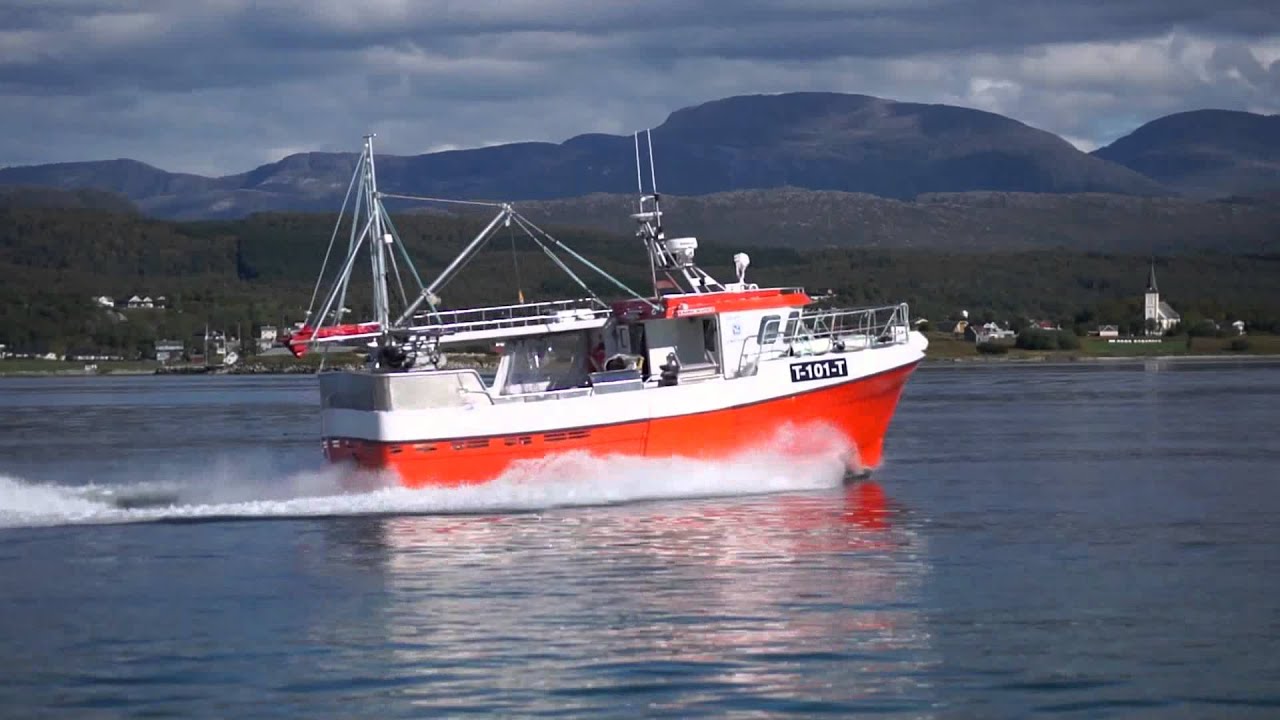 Selfa 40 Speed - YouTube