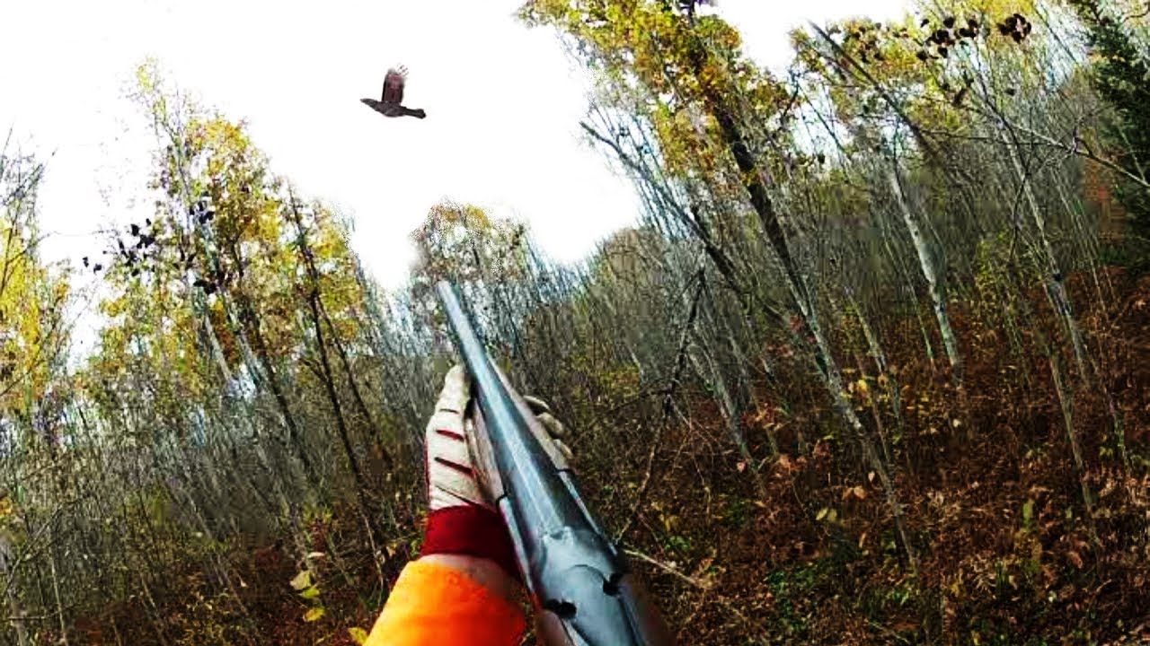 Nice Shot by Malik Hunter - YouTube