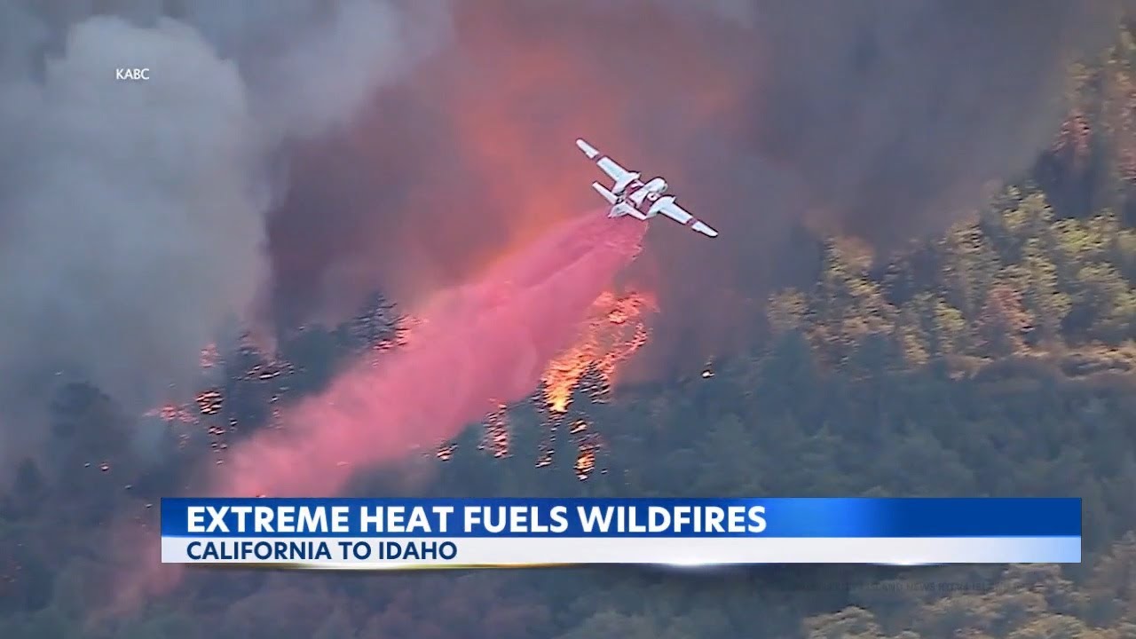 Extreme heat fuels California wildfires, blackouts -- and some ...