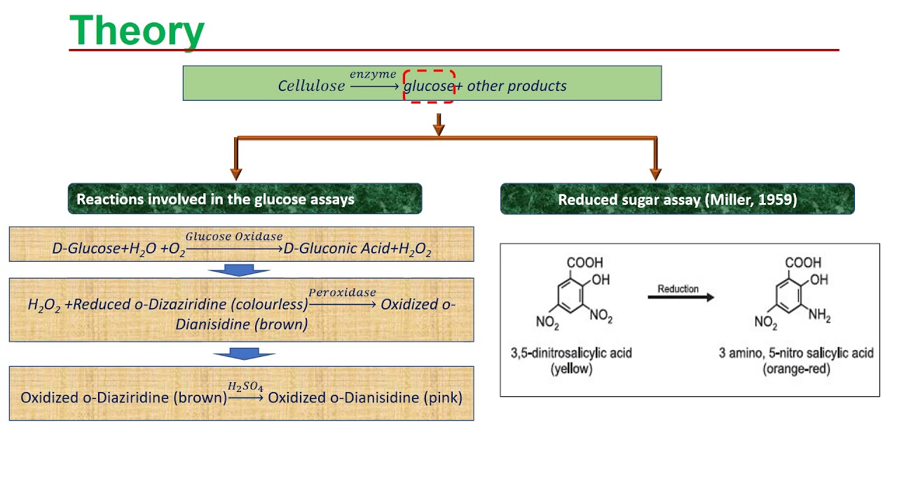 Arif Studies on the Microbial Decomposition of Municipal Solid Waste ...