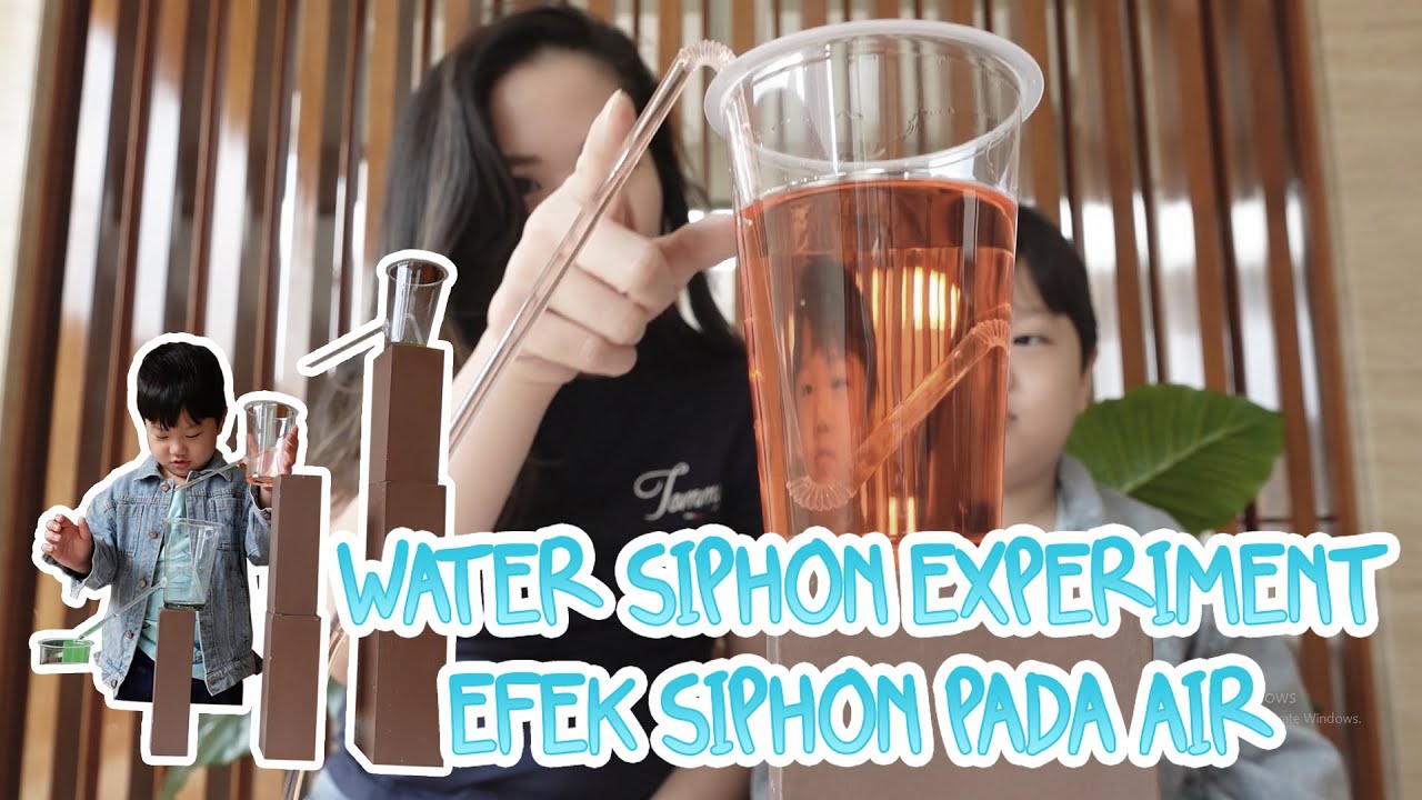 Water Siphon Experiment | Eksperimen Efek Siphon pada Air - YouTube