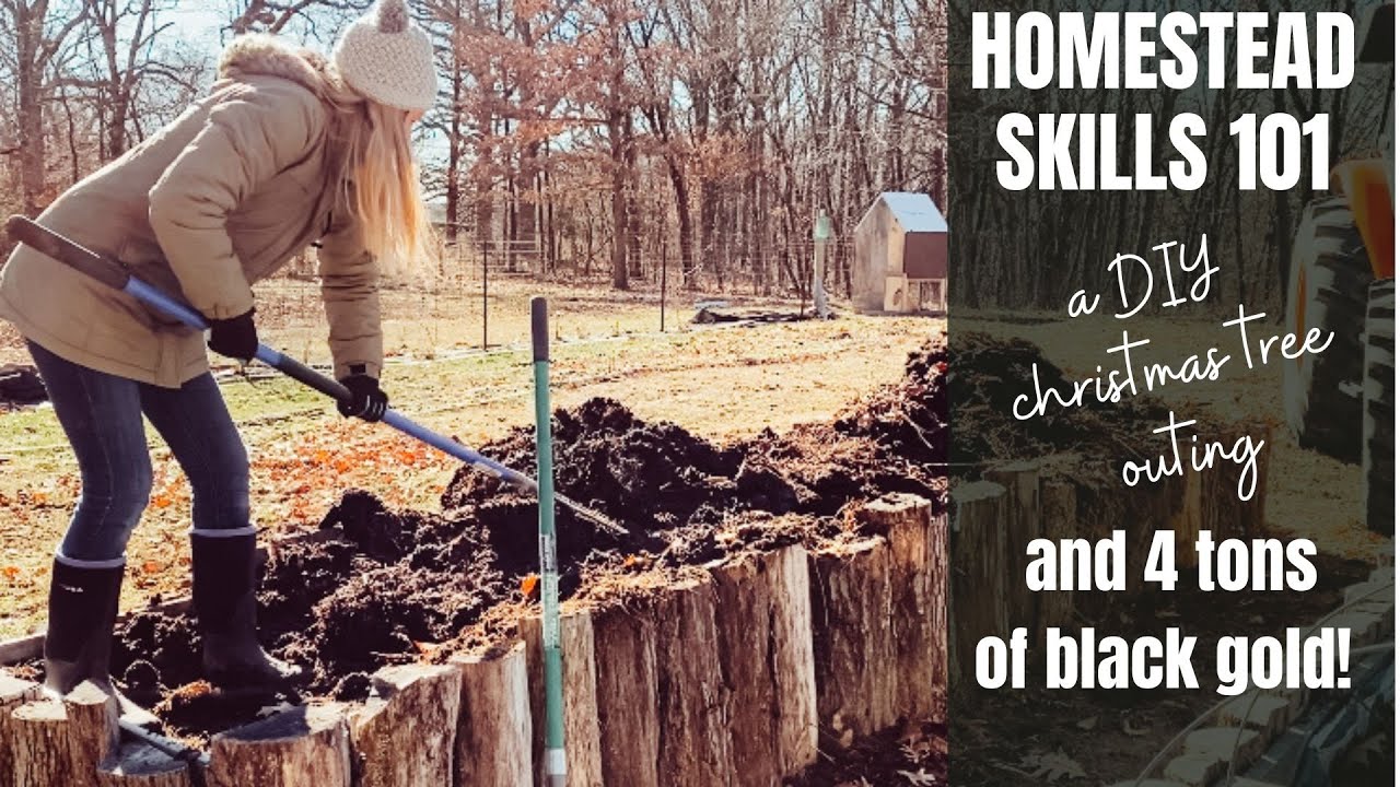 Important advice - how do you start homesteading for beginners | What ...