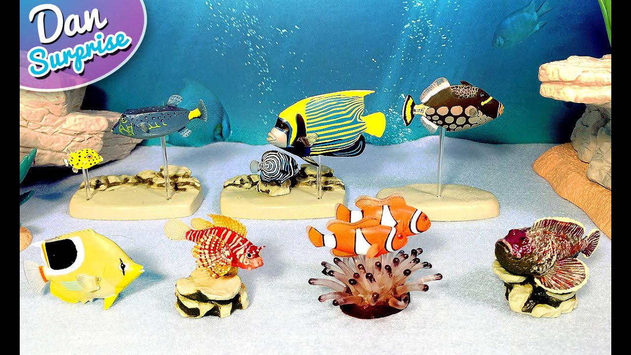12 Fascinating Sea Animals 3D Puzzle Toys - Blue Tang, Lion Fish ...