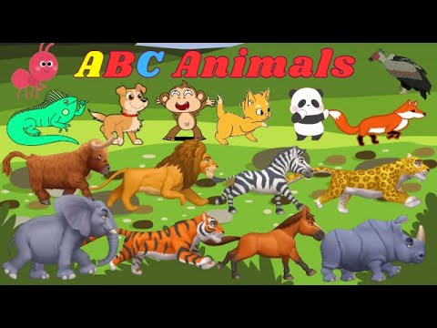 ABC Animals | Alphabet Animals for Kids N02TH8 | Animal Sounds - YouTube