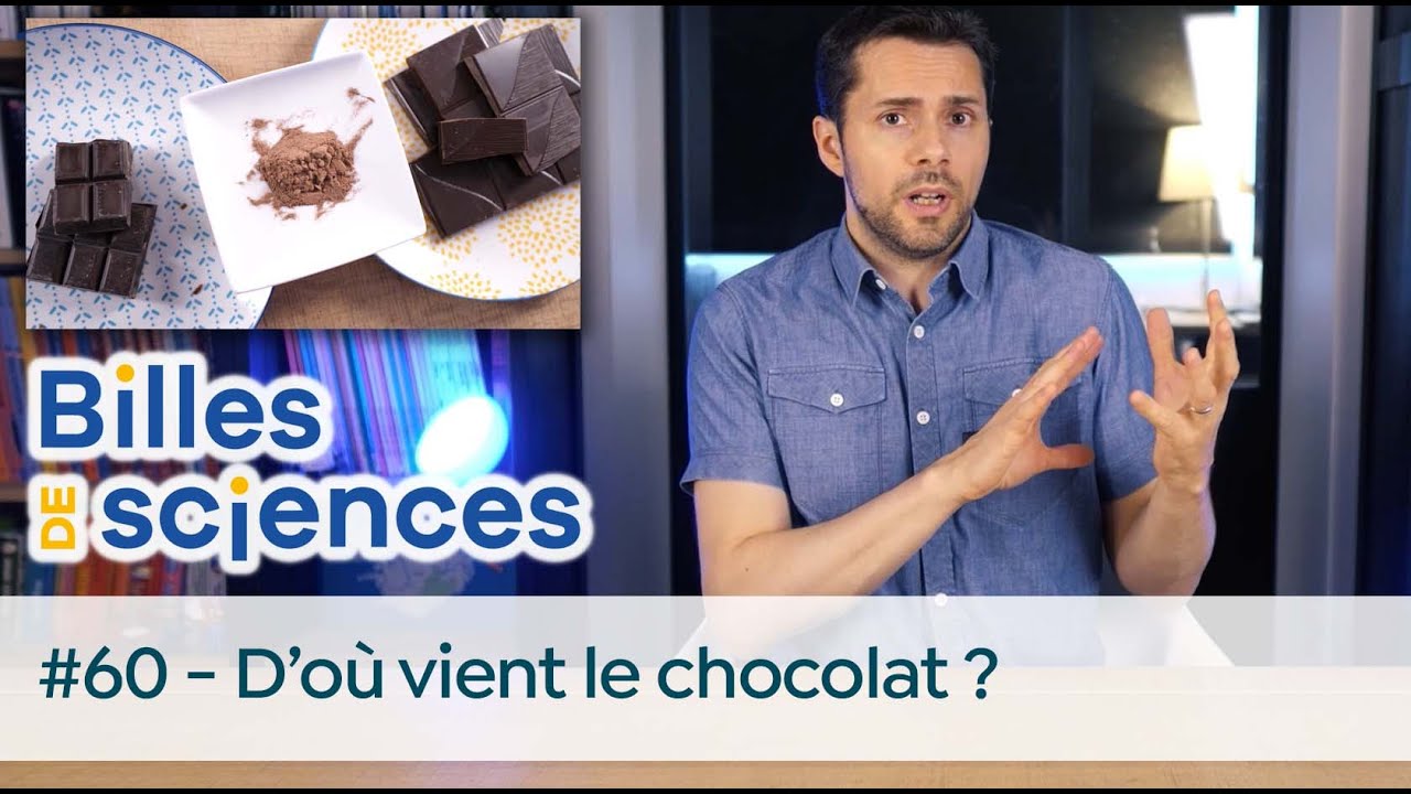 Billes de sciences #60 : Bertrand Augustin - D'où vient le chocolat ...