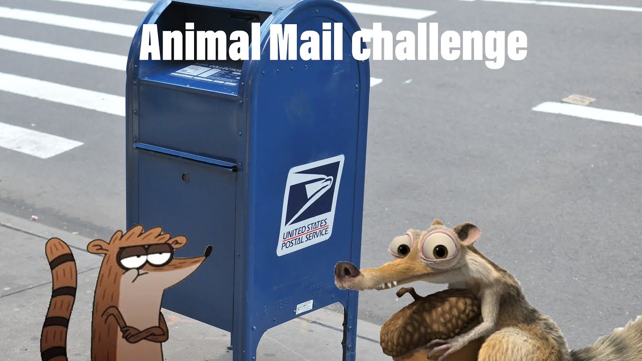 Animal Mail challenge - YouTube