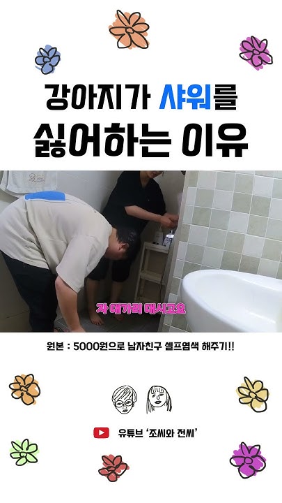 강아지들이 샤워를 싫어하는 이유 Shorts 강아지 샤워 남자친구 여자친구 Youtube