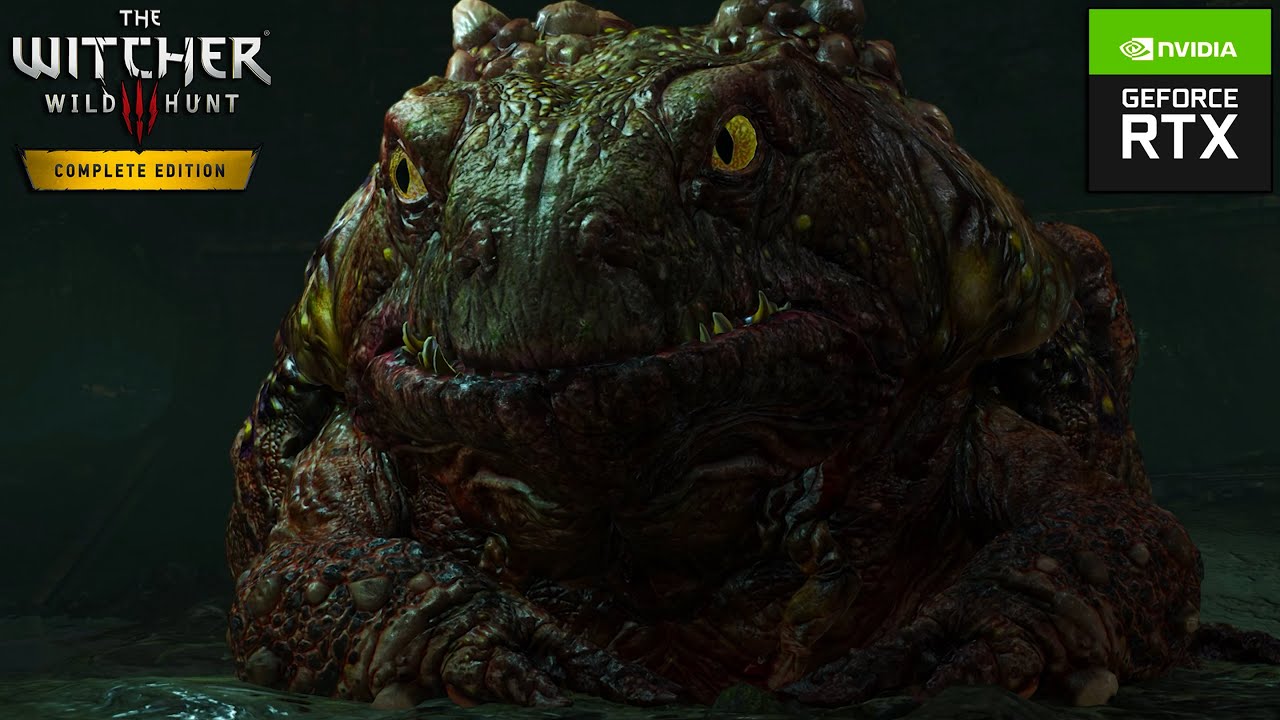 [4K] Ray Tracing & Next Gen Gameplay [Witcher 3] Toad Prince & Ofieri ...