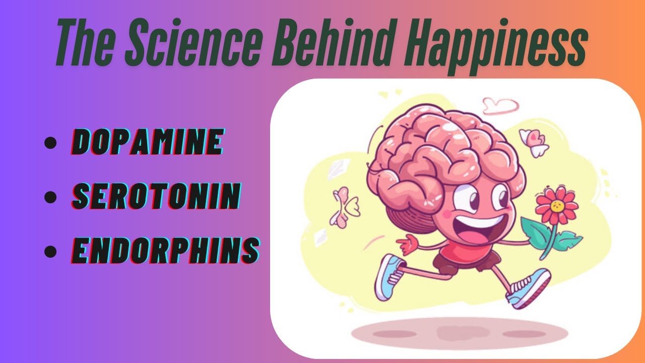 The Science Behind Happiness: Dopamine, Serotonin, and Endorphins - YouTube