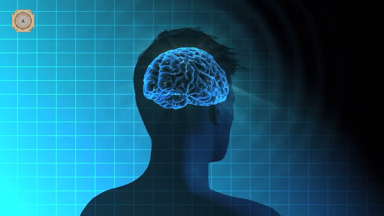 Neuroplasticity - Rewire Your Brain | Heal Brain Injury | Repair Brain ...