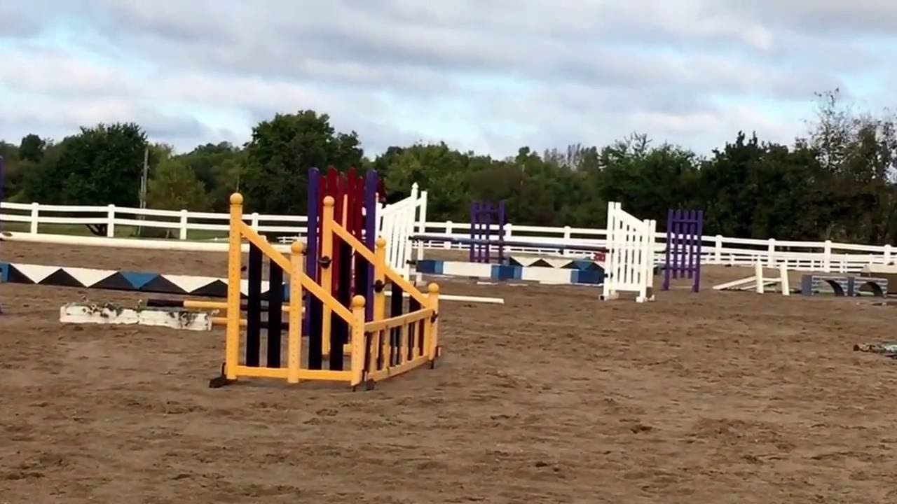 Better Believe It Xc/Show Jumping - YouTube
