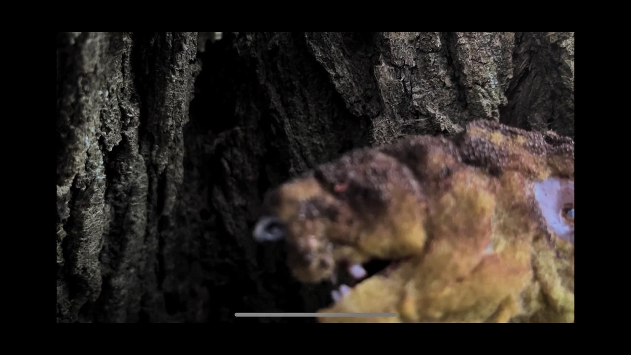 UKHAATHERIUM. - YouTube