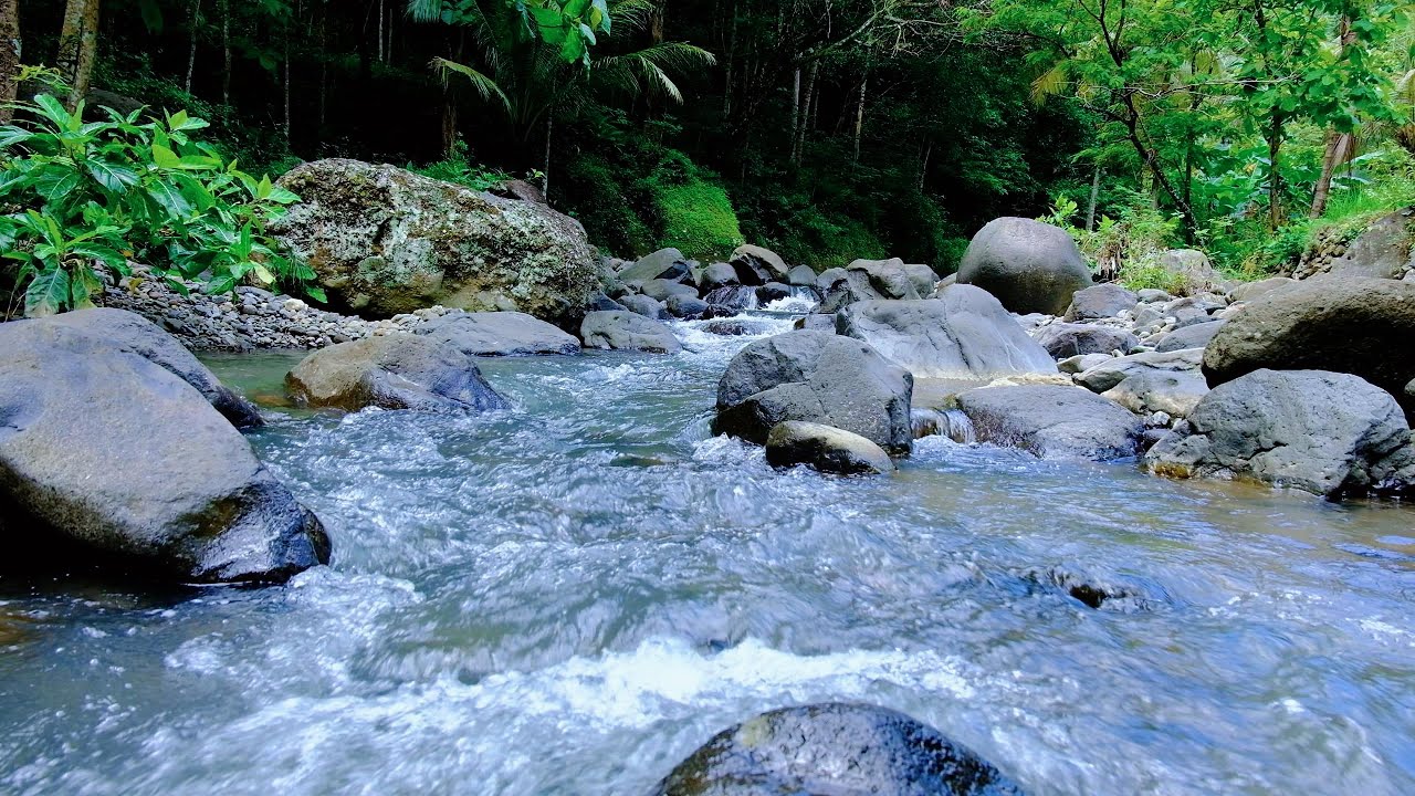 Natural River Ambience - Drift into Deep Sleep and Relax Fully with ...