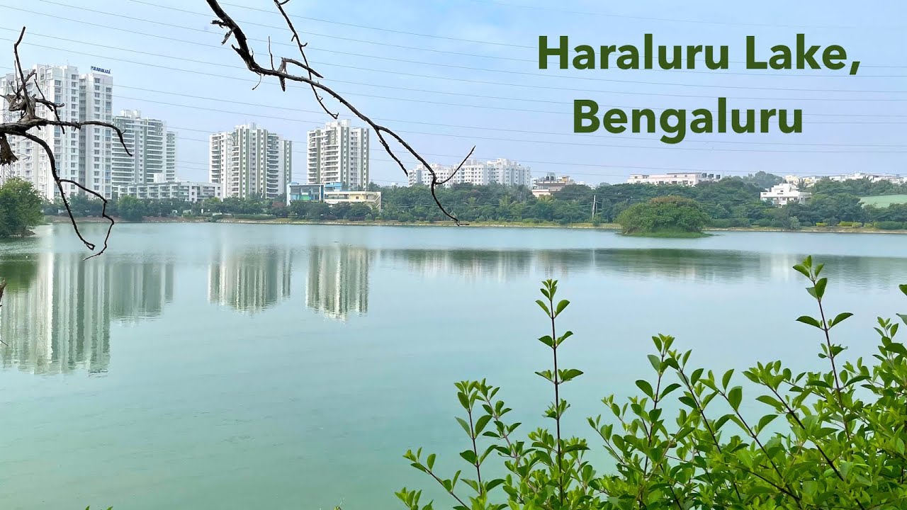 Haralur Lake | Bengaluru Lakes | Lakes in Bangalore | Running tracks in ...