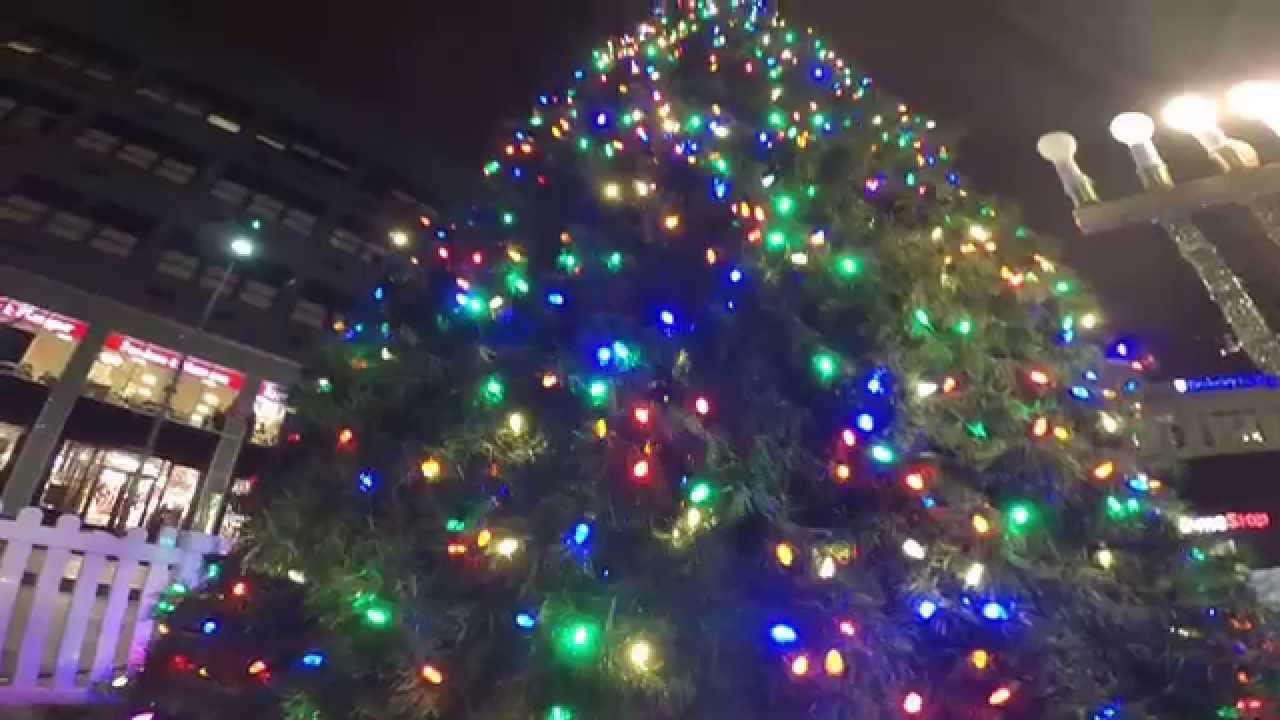 the best tree in fulton:) - YouTube