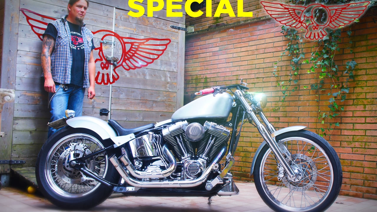 Custom Motorcycle with chameleon metal flake powder coating special ...