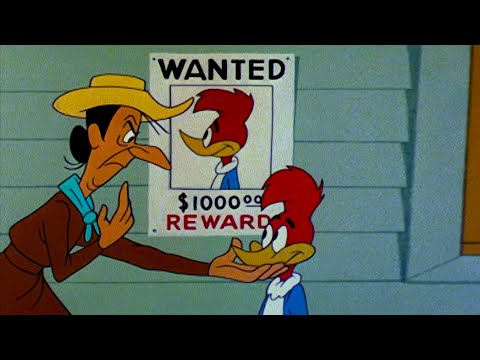 Pica-Pau é Acusado Injustamente! | Pica-Pau em Português