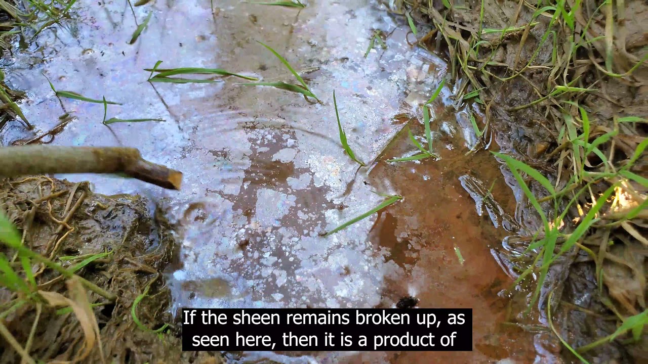Montgomery Parks Stream Scene: Investigating an Oily Sheen - YouTube