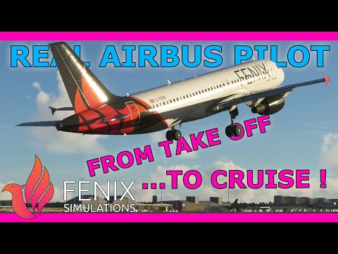 Fenix A320 Tutorial: Takeoff to Cruise with a Real Airbus Pilot!
