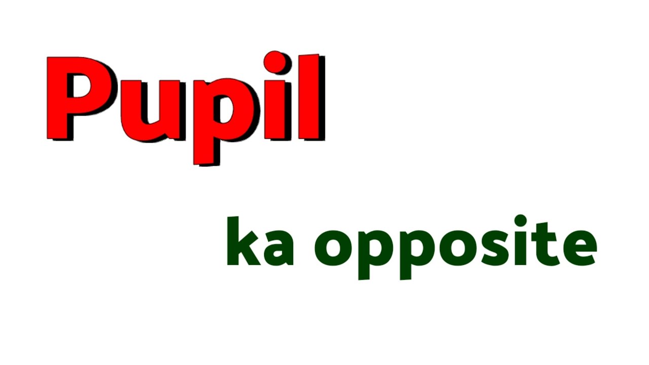 pupil ka opposite word / pupil ka opposite word kya hota hai / pupil ka ...