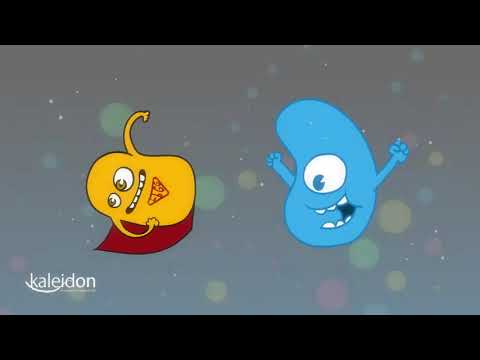 KALEİDON PROBİYOTİK TAKIMINI TANIYALIM - ANİMASYON SESLENDİRME