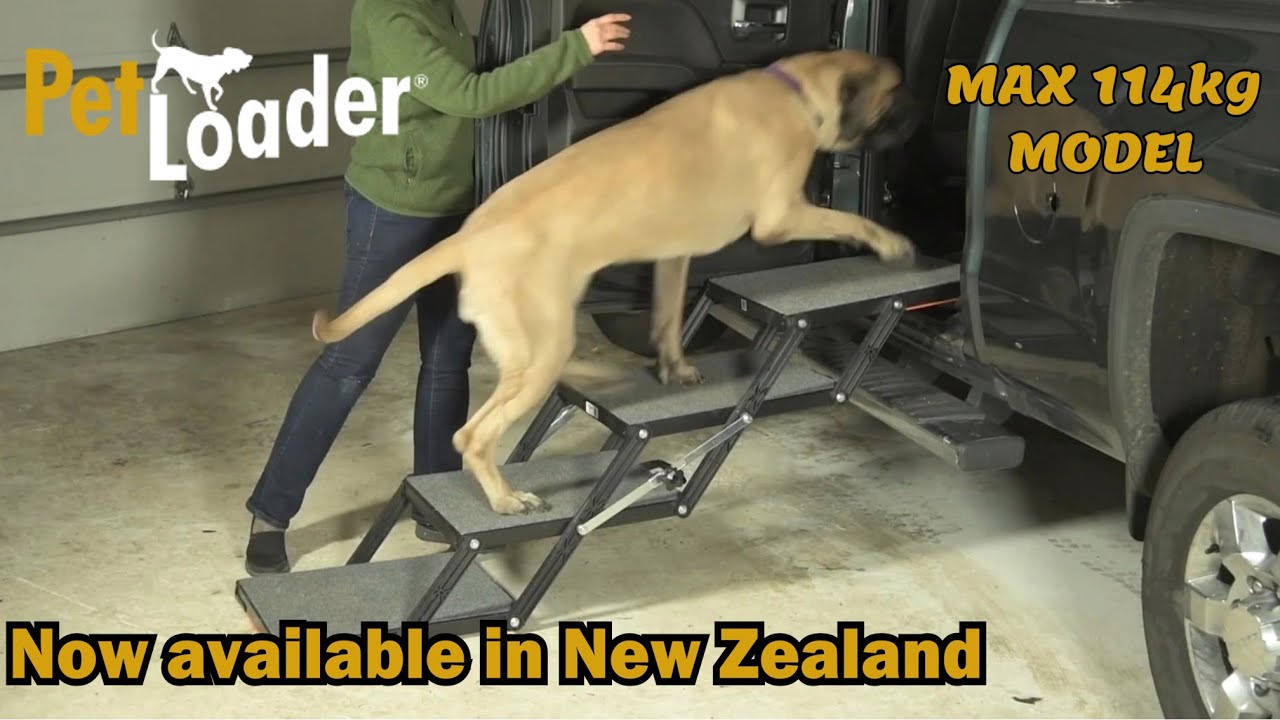 Pet Loader Superior Dog Steps For Vehicles And More Made In, 49% OFF