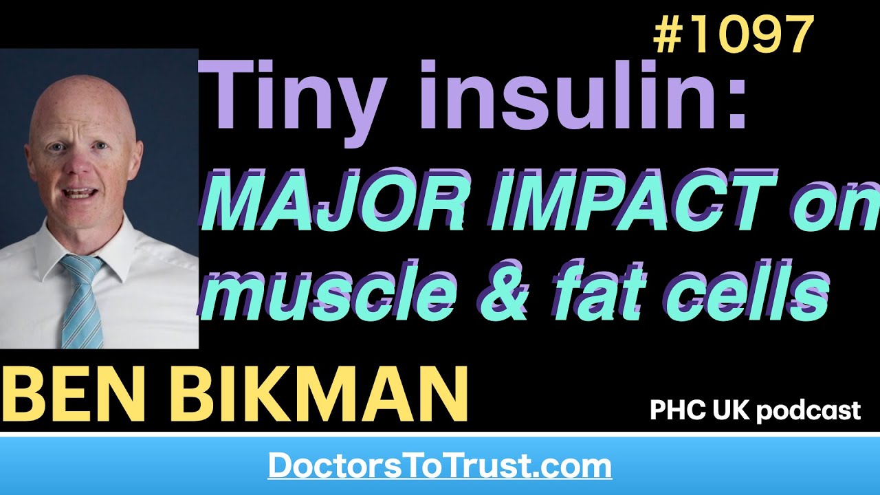 BEN BIKMAN a; | Tiny insulin: MAJOR IMPACT on muscle & fat cells ...