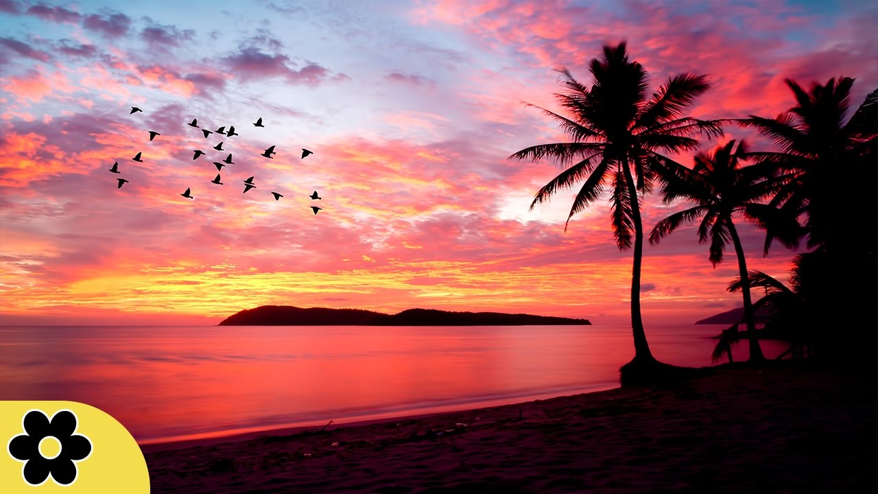 8 Hour Sleeping Music, Calming Music, Music for Stress Relief ...