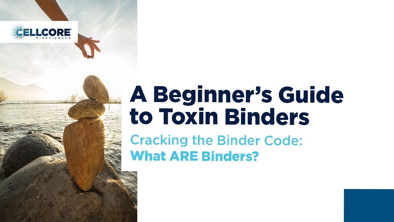 A Beginner’s Guide to Toxin Binders - YouTube