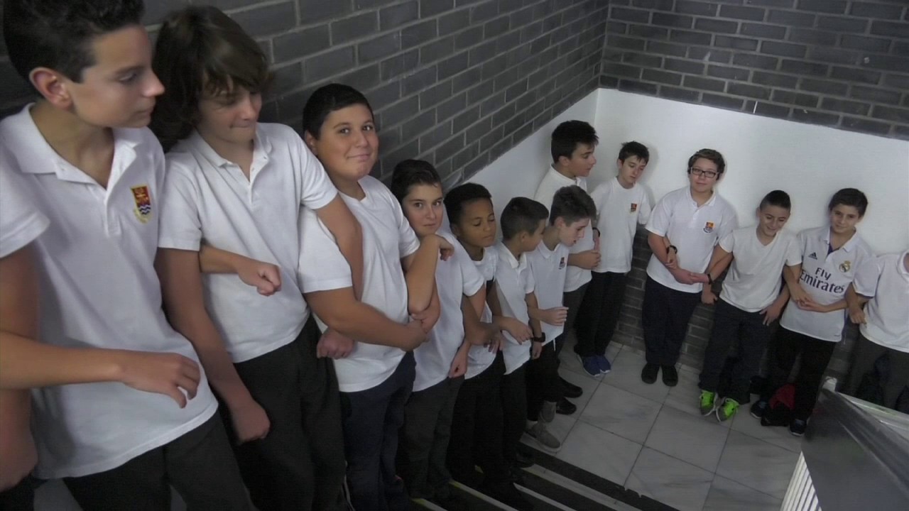 GBC - Bayside School raise awareness for elimination of violence ...