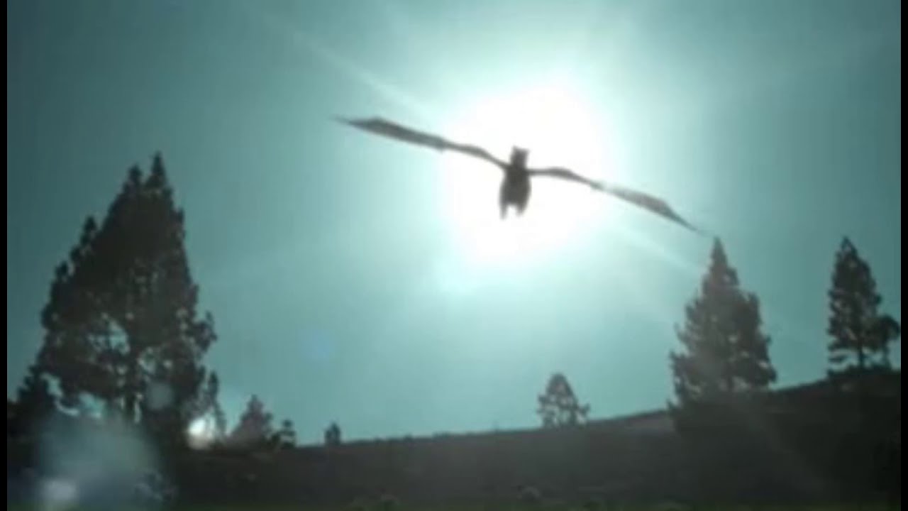 Dragons a fantasy made real Teaser AD - YouTube