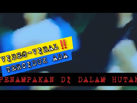 Video viral, terciduk mesum di hutan