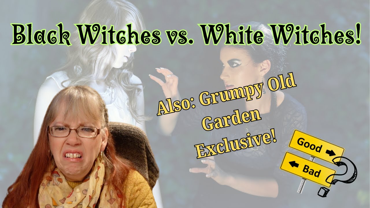 Dorothy Are You A Good Witch Or A Bad Witch