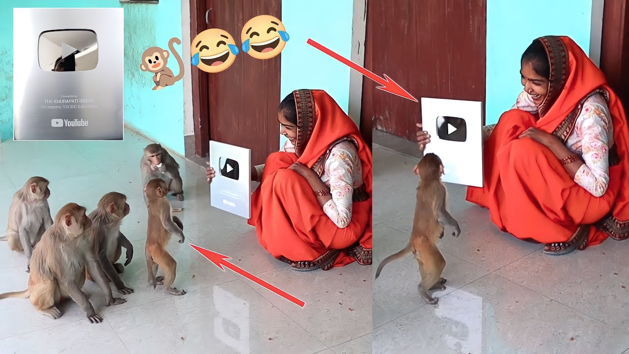 Silver Play Button Vanar Sena Funny Reaction🐒🤣🤣|Congratulations To All ...