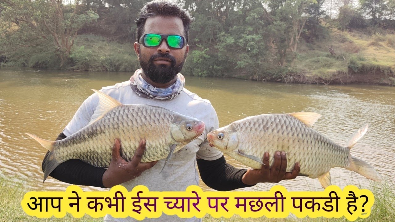 Java barb / parg fishing / kolhapuri fishing and cooking - YouTube