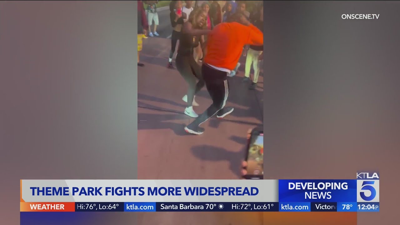 Are theme park fights becoming more widespread? - YouTube