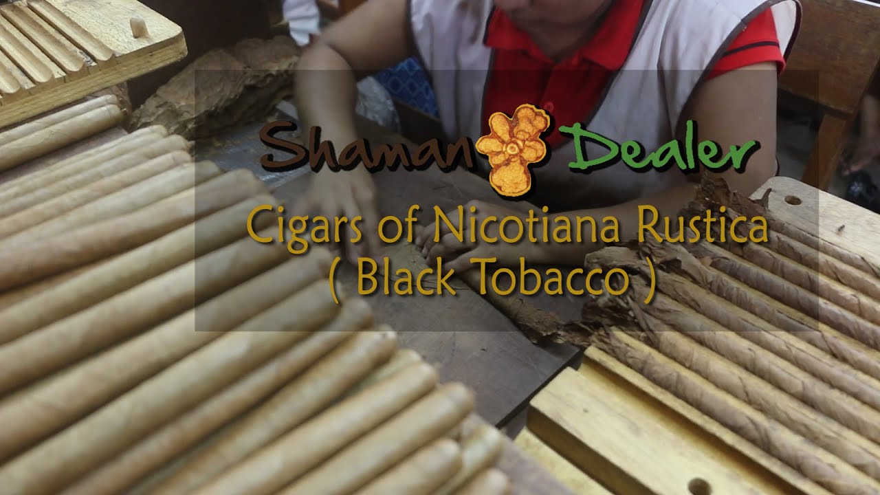 Mapacho Puro indios cigars from Peru - www.shamandealer.com - YouTube