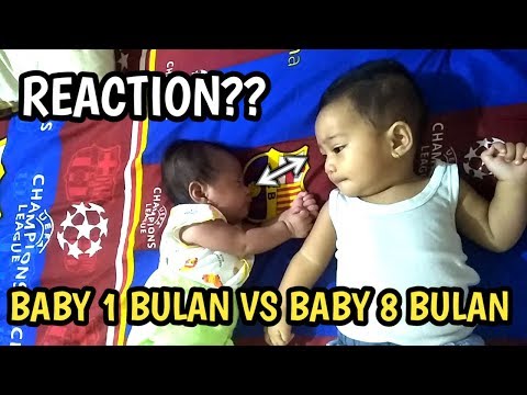 REACTION,  BABY 1 BULAN vs BABY 8 BULAN, #baby